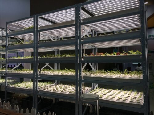 Vertical Farming - Auxgrow