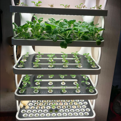 Vertical Hydroponic System Manufacturer - Auxgrow