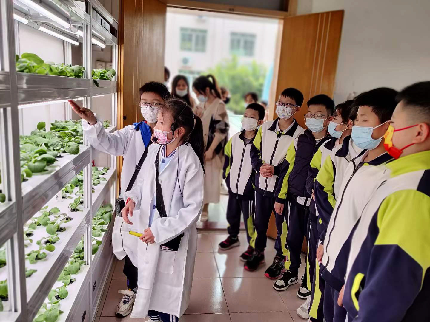 Growing Local with Classroom Garden Kit - Auxgrow