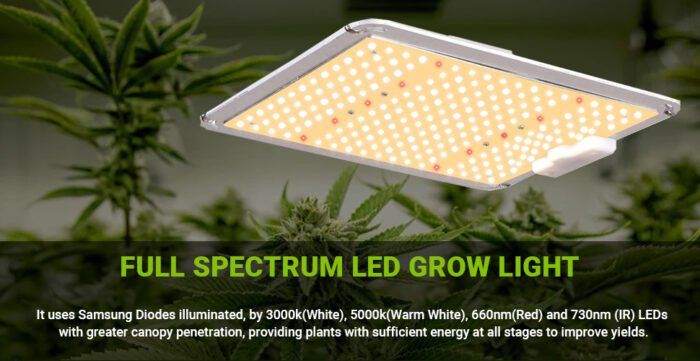 Quantum Board LED Grow Light Manufacturer- Auxgrow