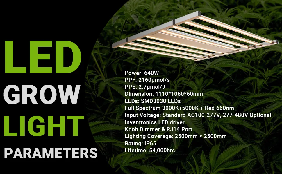 Professional LED Grow Light Supplier - Auxgrow