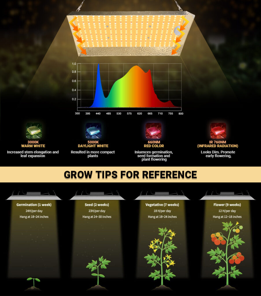 Full Spectrum Grow Lights for Indoor Plants - Auxgrow