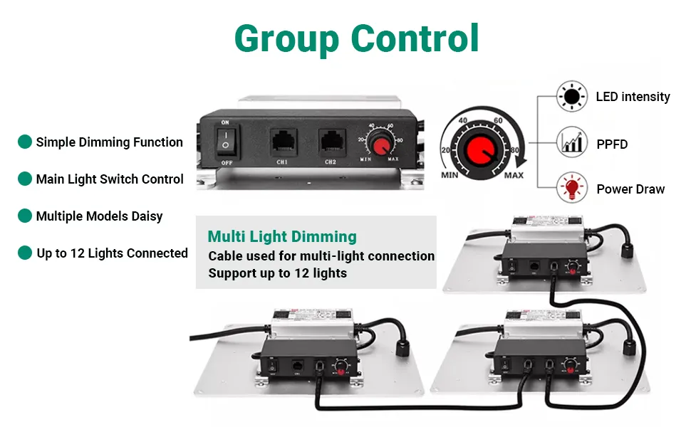 LED Plant Grow Light Supplier - Auxgrow
