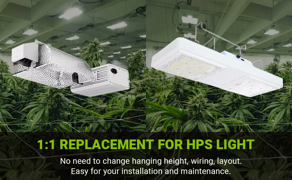 Smart LED Grow Light for Cannabis Cultivation - Auxgrow