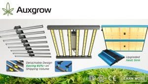 15 Best Horticulture LED Lights Suppliers In The World