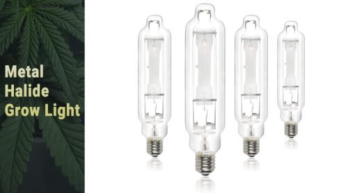 Best Guide to Use Greenhouse Lighting Fixtures - Auxgrow