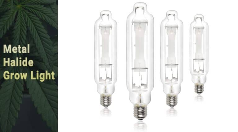 Best Guide to Use Greenhouse Lighting Fixtures - Auxgrow