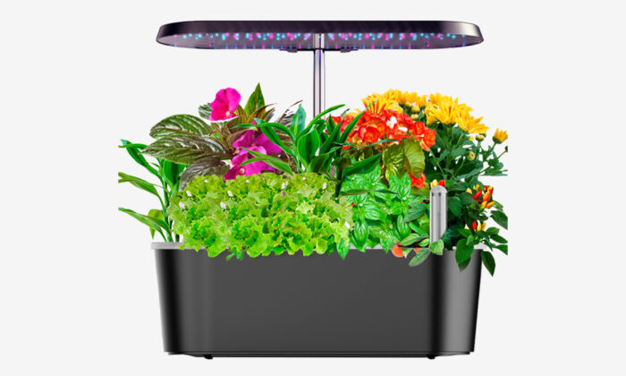 Indoor Smart Garden