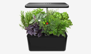 Indoor Smart Garden