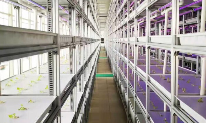 Vertical Farming System