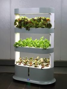 Vertical Farming at Home