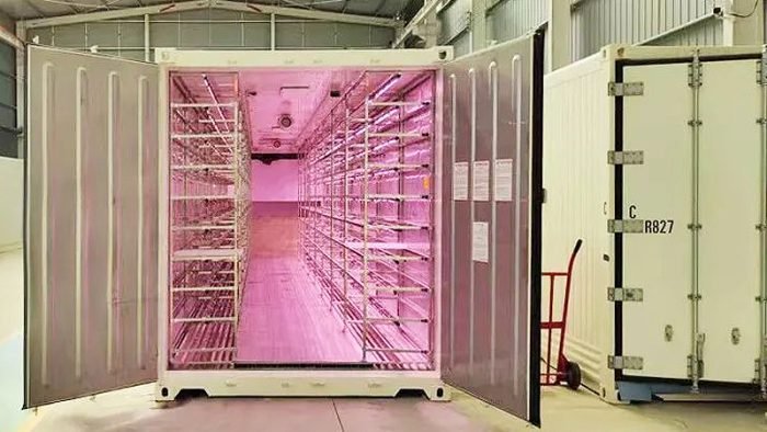 Hydroponic Fodder System - Auxgrow