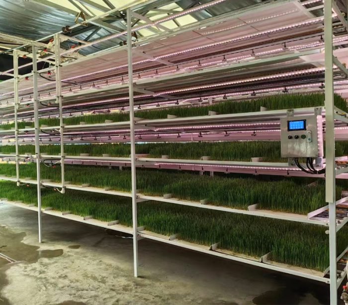 Hydroponic Fodder System - Auxgrow