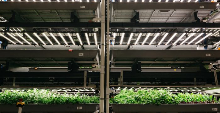 What is A Plant Factory?