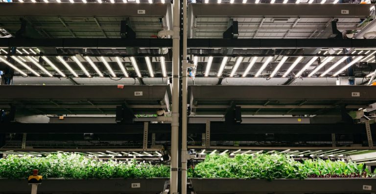 What is A Plant Factory?