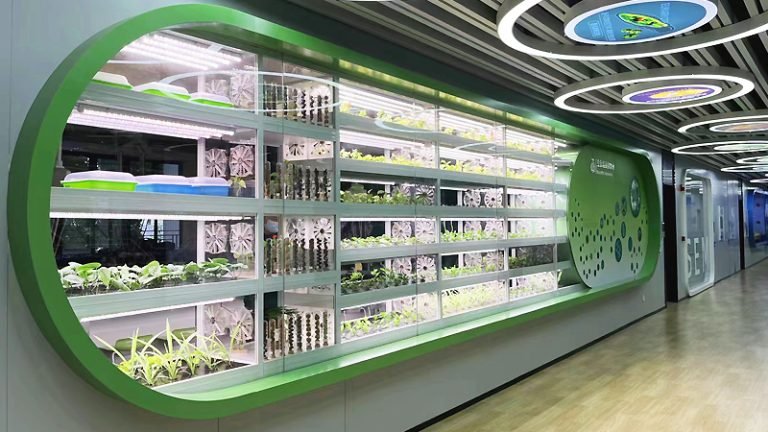 Classroom Hydroponics System