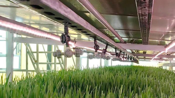 Hydroponic Fodder System - Auxgrow