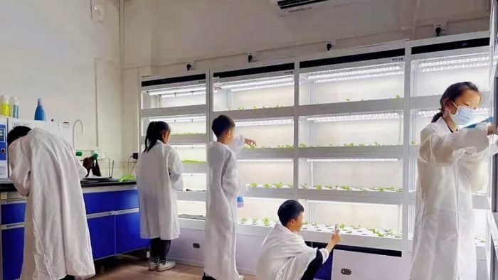Classroom Hydroponics System