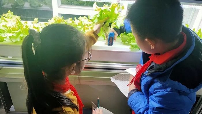 Classroom Hydroponics System