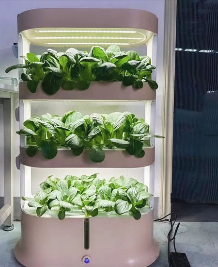 How do I Grow Vertical Farming in A Small Space? - Auxgrow
