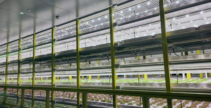 Vertical Farming Tech Frontiers in EU/US & China's Industrial Future