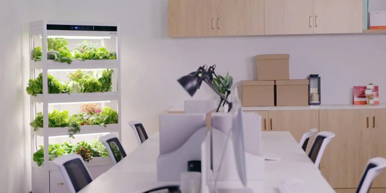 How do I Grow Vertical Farming in A Small Space? - Auxgrow